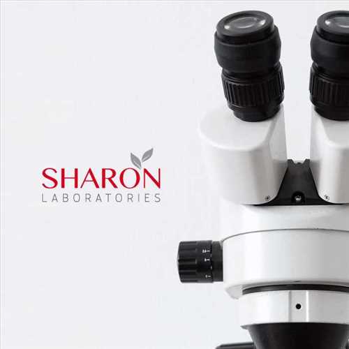 בניית אתרים בהתאמה אישית לדרישות הלקוח ועיצוב UI/UX! • FULLPOWER